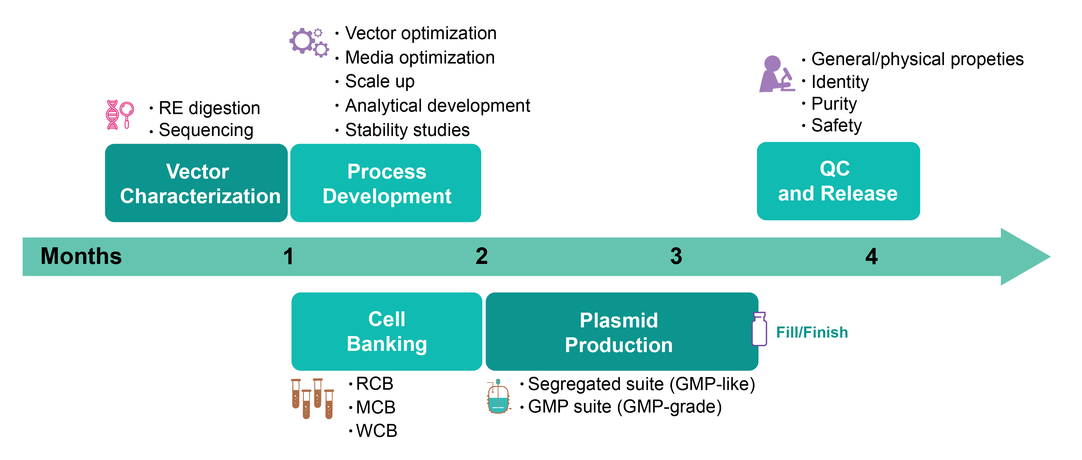 GMP Plasmid Manufacturing | VectorBuilder